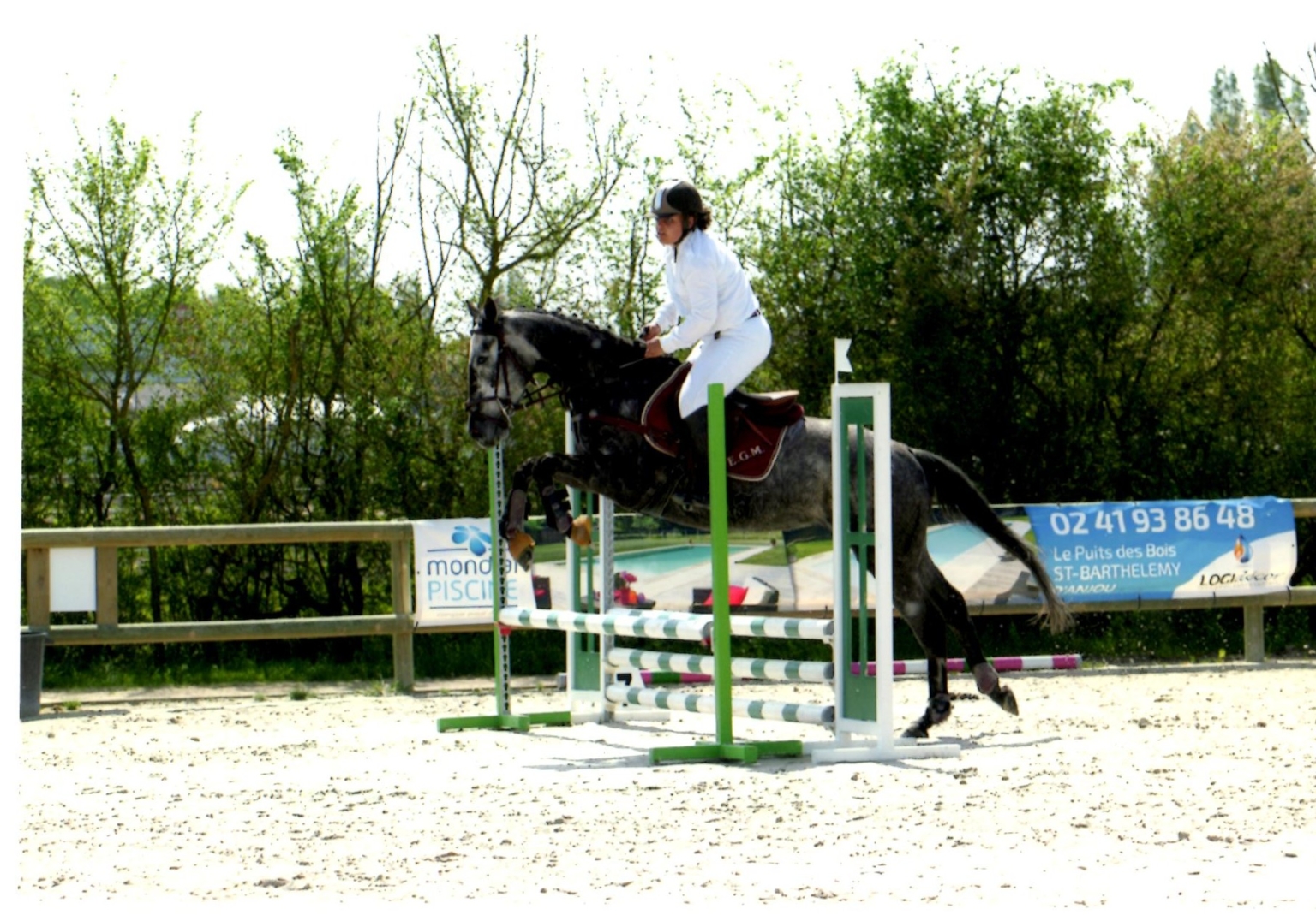 Kenfun et sa nouvelle cavalière se font plaisir en CSO - Ecurie Seconde ...