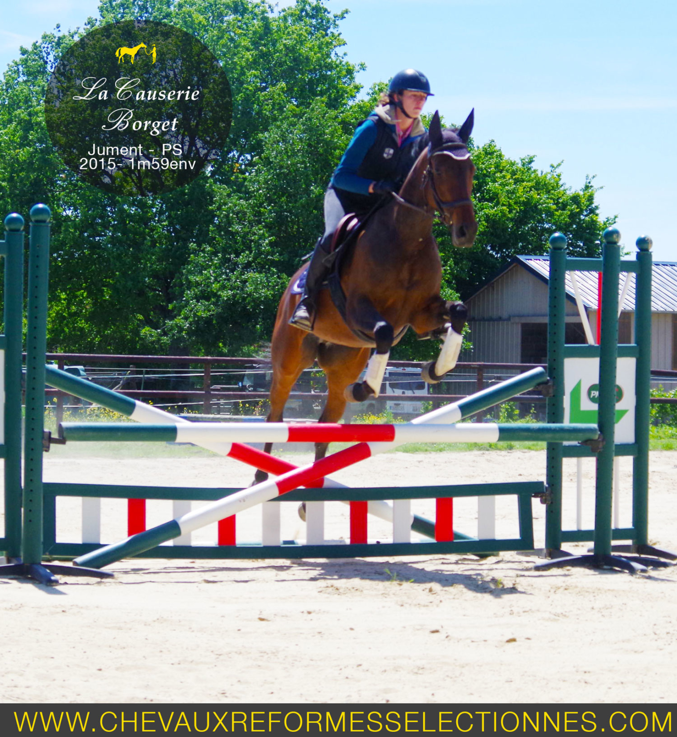 La Causerie Borget au saut d'osbtacles - Ecurie Seconde Chance
