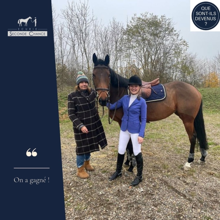 Vente de Chevaux réformés des courses de 1000 à 4000 euros pour le loisirs | Ecurie Seconde Chance