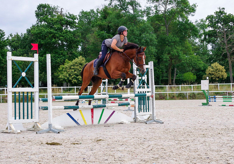 Vente de Chevaux réformés des courses de 1000 à 4000 euros pour le loisirs | Ecurie Seconde Chance